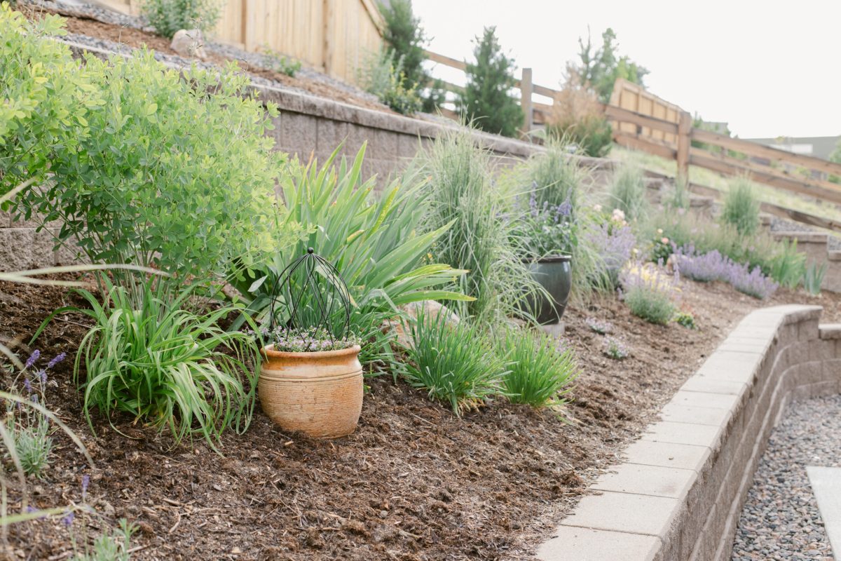 2023 June Garden – Brenda Landrum